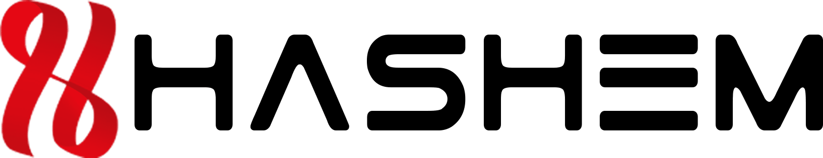 Hashem – Hashem Computer